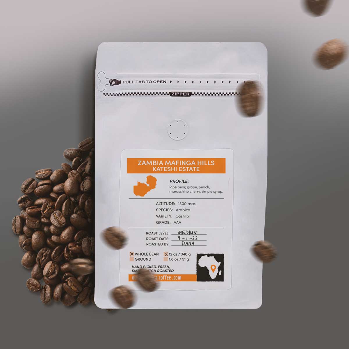 Zambia Mafinga Hills AAA - Kateshi Estate - 12oz – Out of Africa Coffee