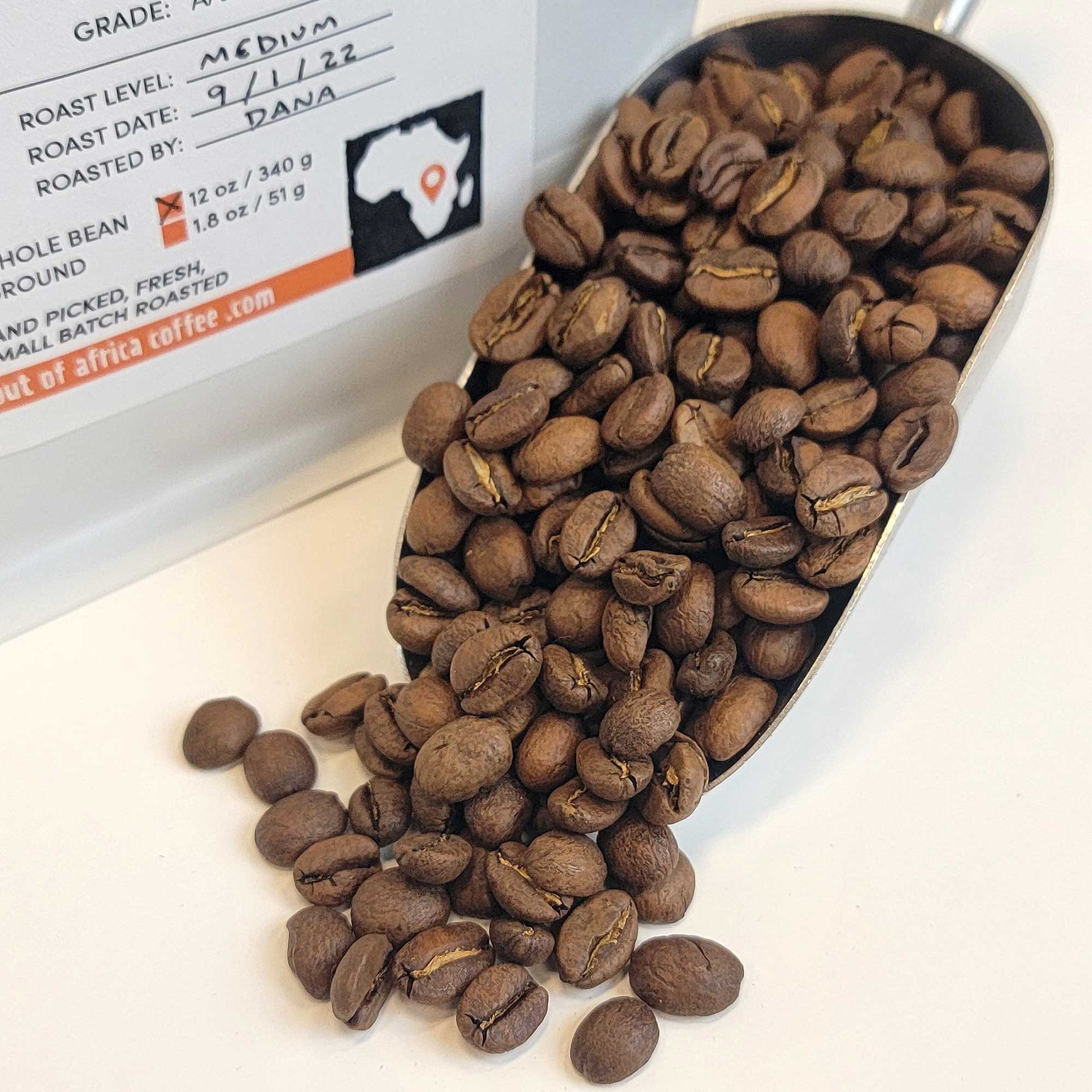 Zambia Mafinga Hills AAA - Kateshi Estate - 12oz – Out of Africa Coffee